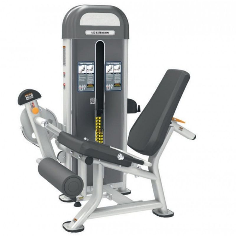 Leg Extension & Curl Machines – Sparks