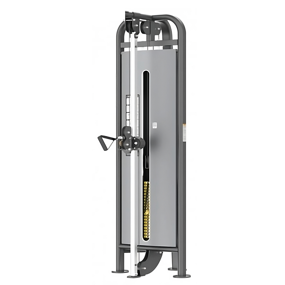 Apex Limited Series 5-Station Multi-Jungle Gym – Sparks