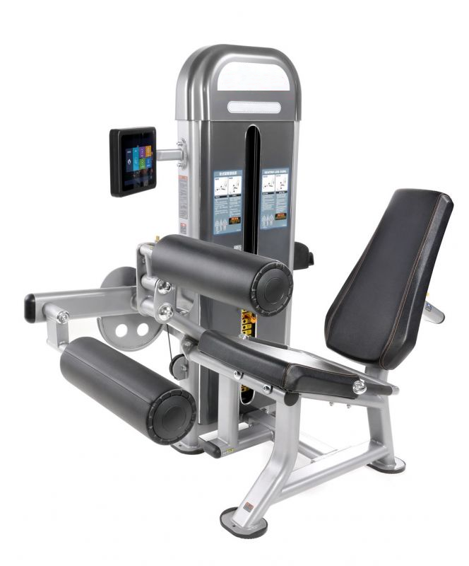Apex Seated Leg Curl Machine – Sparks